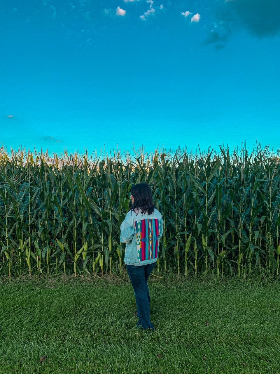 Aztec Denim Jacket | The Denim Thistle Company